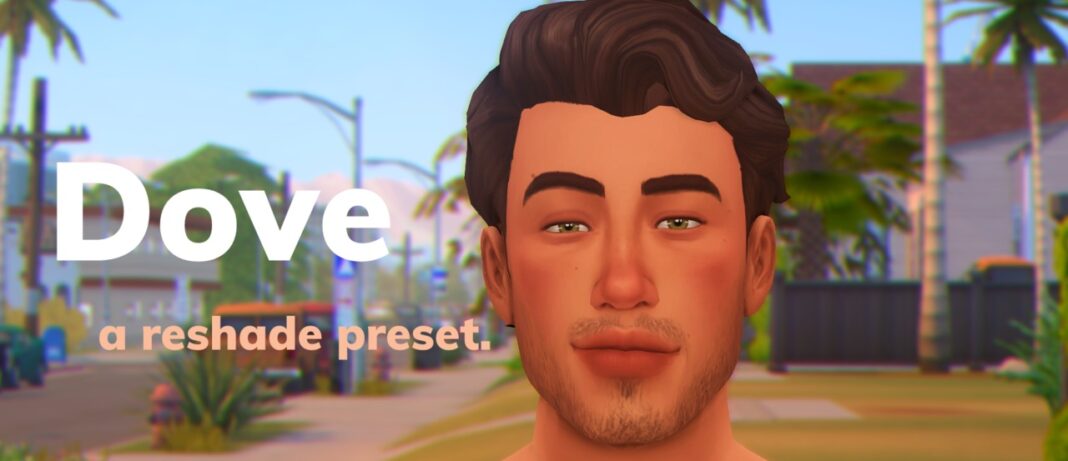 40+ Amazing Sims 4 Reshade Presets for Realistic Look