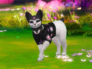 Sims 4 Pet Mods - Cats and Dogs Pet Mod and CC