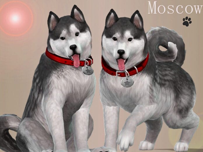Sims 4 Pet Mods - Cats and Dogs Pet Mod and CC