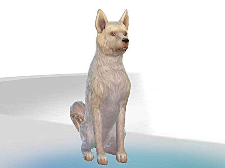 Sims 4 Pet Mods - Cats and Dogs Pet Mod and CC